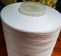 China Industrial TFO 30/2 Polyester Spun Sewing Thread for sale