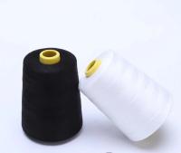 China Eco 30S/2 30S/3 100 Polyester Sewing Thread For Garment Sewing for sale