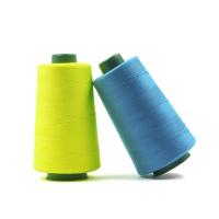 China 20S/2 20S/3 5000m Polyester Thread 800 Colors For Sewing Machine for sale