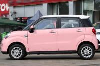 China 4 Seat Fwd Electric Car Range 320km 35kW Motor Power Max Speed 101km/H for sale