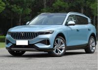 China VOYAH Free EV SUV 505km 2D Driving Luxury Pure Electric Vehicles Electric Car for sale