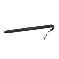 China Electric Tailgate Lift Strut Power Liftgate 51247481807 For BMW X1 F48 F49 for sale