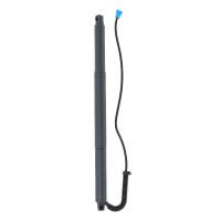 China Auto Power Rear Liftgate OEM 51247339432 For X4 F26 2013-2018 Rear Right Power Lift Support for sale