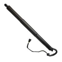 China Left Rear Liftgate Trunk Led Spindle Drive 51247294469 For BMW X5 F15 2014-2018 for sale