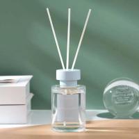 China Luxury Glass Bottles Fragrance Oil Aroma Reed Diffuser Packaging Air Freshener Scent for sale