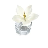China Eco Friendly Home Sense 1cm Sola Wood Flowers for sale