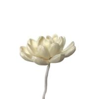 China Tapioca Plants Material Air Fresher 1cm Reed Diffuser Flower for sale