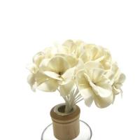 China Hydrangea Artificial Natural Color Sola Reed Diffuser Flower for sale