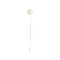 China No Formaldehyde Natural Color Round Shaped Natural  Wicker Rattan Decorative Balls for sale