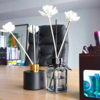 China Sola Flowers Reed Diffusers Gift Box Set Aromatherapy Gift Box Rattan Sticks Home for sale
