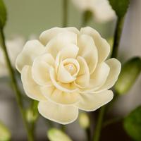 China Rose Reed Diffuser Flower for sale