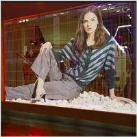 China 3.9mm Indoor Rental Video Wall Panel , P3.91 Transparent Glass Led Display for sale