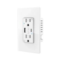 China Tuya WiFi Smart Socket with USB Type-C - 2 AC Outlets 15A 2500W for Home Automation for sale