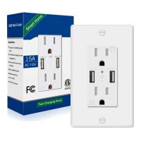 China PC ABS Secure Type A USB Wall Outlet 15A 125V AC 60Hz with Dual 4.2A USB Charging Ports for sale