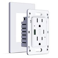 China 15A 125V WiFi Smart Outlet with PD20W Fast Charging - Voice Control & App Remote Management for sale