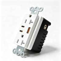 China 15A USB Wall Outlet PD20W Power Delivery Tamper-Resistant Duplex Receptacle Custom Color Lighting for sale