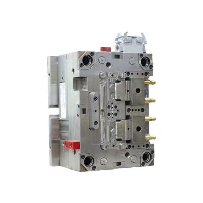 China Plastic Injection Mould Household Appliance Mold Featuring Tolerance ±0.01 Mm for Durable and Precise Product Fabrication for sale