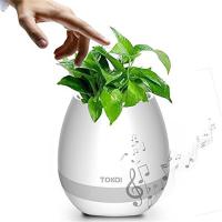China Flower Pot Music Bluetooth Speaker Smart Touch Plant Lamp Rechargeable Li Battery for sale