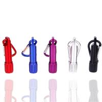 China Cell Botton LED Emergency Flashlight Metal Material With Hiking Hook Key Chain for sale
