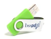 China Durable Customized Promotional Gifts 2.0 Swivel USB Flash Drive / USB Disk for sale