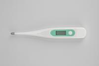 China Mini Digital Thermometer For Adult Baby Kids Accurate Oral And Armpit Underarm temperatures for sale