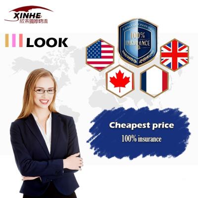 China China to Mexico Transitario Agencia De Transporte Agente De Carga Promotor South America Logistic Agent Freight Forwarder Ddp for sale