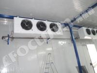 China Bitzer Compressor Solar Ice Preservation Cold Storage Chamber for Food Preservation for sale