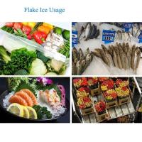 China Upgrade Your Ice Production with 15T Focusun Flake Ice Machine and Bitzer Compressor for sale