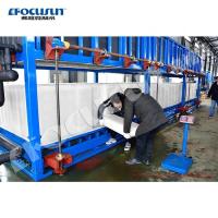China Fresh food edible Stainless steel 20Ton per day direct evaporation block ice machine for sale