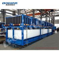 China Fresh food edible Stainless steel 20Ton per day direct evaporation block ice machine for sale