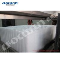 China Fresh food edible Stainless steel 20Ton per day direct evaporation block ice machine for sale