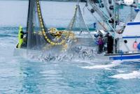 China Customizable Service and Maintenance Plan for FOCUSUN 20T Sea Water Flake Ice Machine for sale
