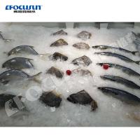 China 10 000kg Plate Ice Machine for Fish Stainless Steel/Galvanized Steel Body Material for sale