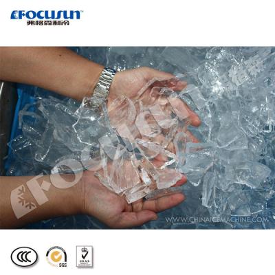 China 450KG Ice Storage Capacity Plate Ice Machine Perfect for Fresh-keeping 5 Ton Per Day for sale