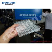 China Industrial 10 Ton Cube Ice Machine with and Remote Monitoring Top Ranking FOCUSUN for sale