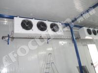 China Camara de Frio Solar para Alimentos con Paneles Solares de 300w*16 y Inversor de 25KVA for sale