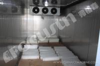 China Engine Core Components Cold Room Container for Mobile Vaccine Cooling in 2024 Design for sale