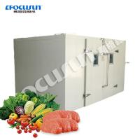 China 10-15cm Panel Thickness Walk-In Cooled Storage Blast Freezer Unit Discount for sale