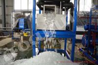 China R22/R404A Refrigerant 2024 10T Tube Ice Machine for Freezing and Mixing Beverages for sale