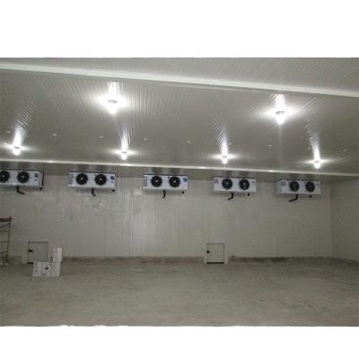China Garment Shops Solar Cold Storage with 20KVA Generador and Durable Design for sale