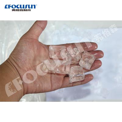 China FOCUSUN 20ton Industrial Cube Ice Machine for Human Consumption at Online Shop Sales for sale