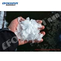 China Industrial Ice Maker Machine for Hotels and Fish Cooling 5-Ton Capacity Certified for sale
