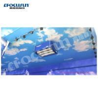 China Simens PLC Controlled Snow Park Indoor and Outdoor Snow Falling Machine for Scenery for sale
