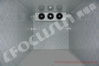 China Provided Video outgoing-inspection Focusun Containerized Solar Powered Cold Room for sale