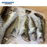 China Focusun 10 000kg Flake Ice Making Machine 5tons Storage Room Ice Size 1.5mm-2.2mm for sale