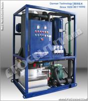 China Condition 10 Tons Automatic Tube Ice Making Machine for Industrial Ice Production for sale