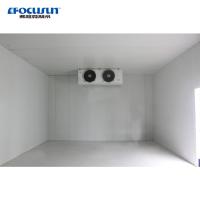 China Solar Power Container Cold Room Storage for Fresh Food Goods 20ft Refrigerant R-22 R-404A for sale