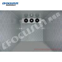 China 10x2.5x2.5m 20FT 40ft Container Solar Power Cold Room Portable Solution for Green Power for sale