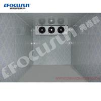 China Field Maintenance and Repair Service Solar Powered Cold Storage for Storing Vegetables for sale