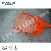 China Stainless Steel Ice Cube Machine for Water Ww Pump Blue Brine Provided Supermarket for sale